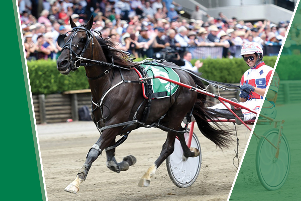 2021 Inter Dominion Series Conditions Released